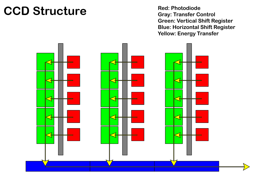 Purposes & Advantages of the Forensic Science Generalist